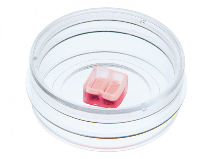 Culture-Insert 2 Well in µ-Dish 35 mm | Thistle Scientific