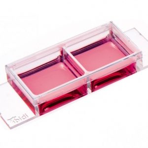 µ-Slide 2 Well Ph+ | Thistle Scientific