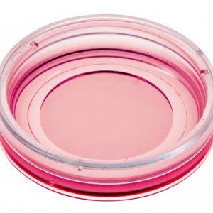 Glass Bottom Dish 35 mm | Thistle Scientific