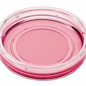 Glass Bottom Dish 35 mm | Thistle Scientific