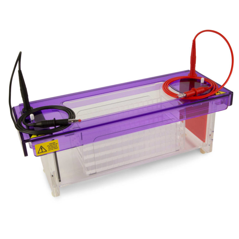 Agarose gel tanks - Thistle Scientific