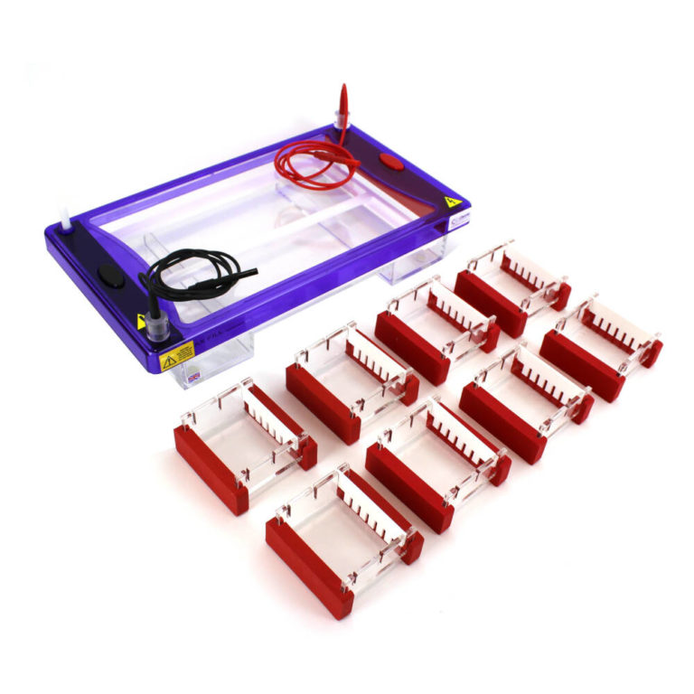 Agarose gel tanks - Thistle Scientific