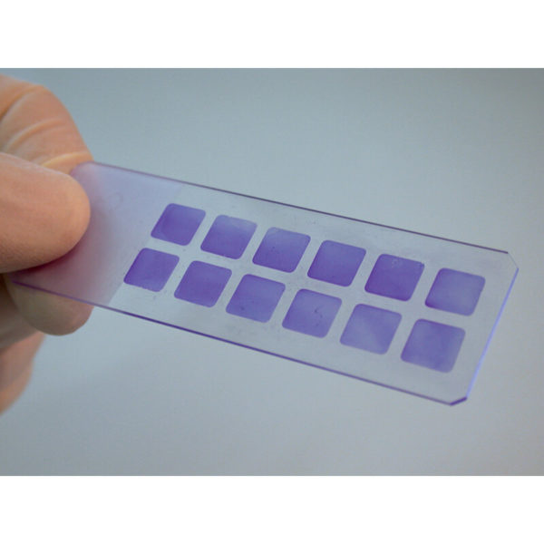 12 Well Chamber, removable - Thistle Scientific