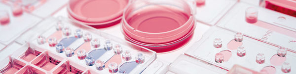 Welcome to Thistle Scientific - Thistle Scientific