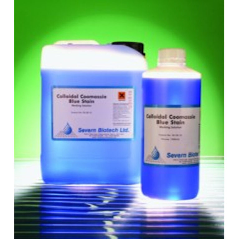 Colloidal Coomassie Blue Protein Stain-Safe Stain | Thistle Scientific