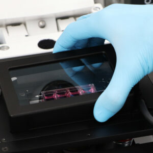 ibidi Stage Top Incubator Slide/Dish, CO2/O2 – Silver Line - Thistle ...